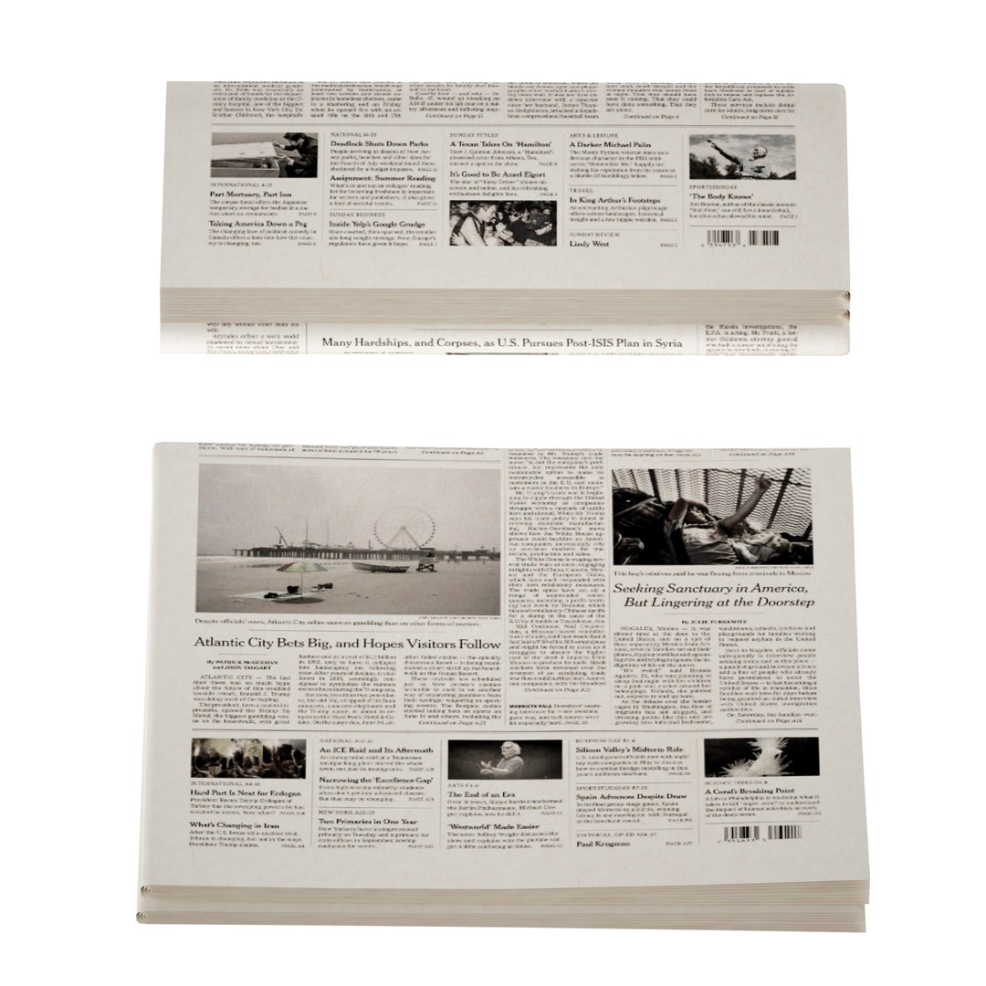 Newspaper Newspapers The New York Times 3D Model - TurboSquid 2291656