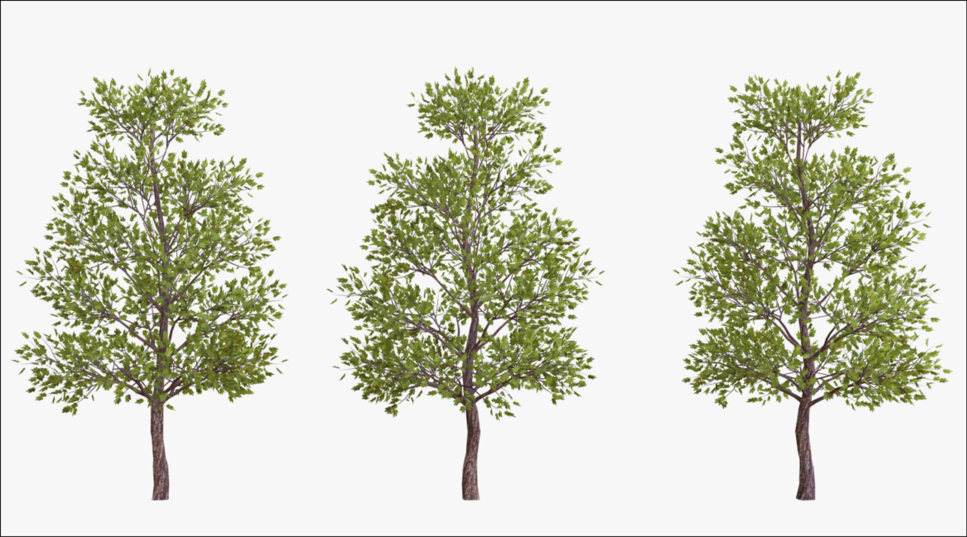 3D Tree Leaf Model - TurboSquid 1533335
