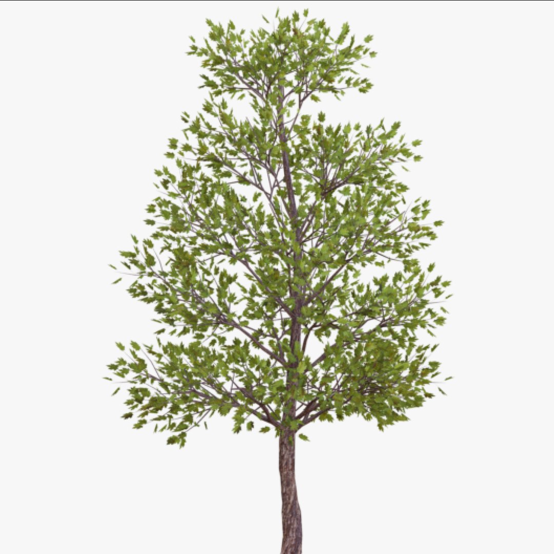 3D tree leaf model - TurboSquid 1533335