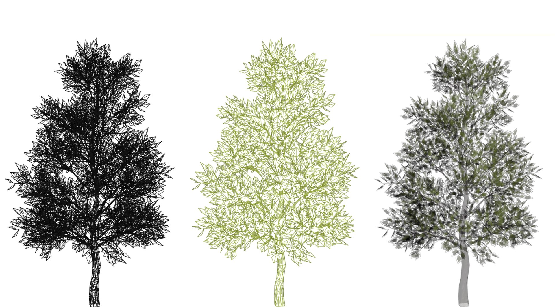 3D Tree Leaf Model - TurboSquid 1533335