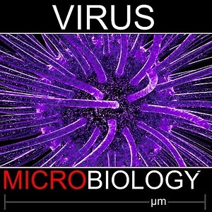 3D Retrovirus Models - Browse & Download Formats - TurboSquid