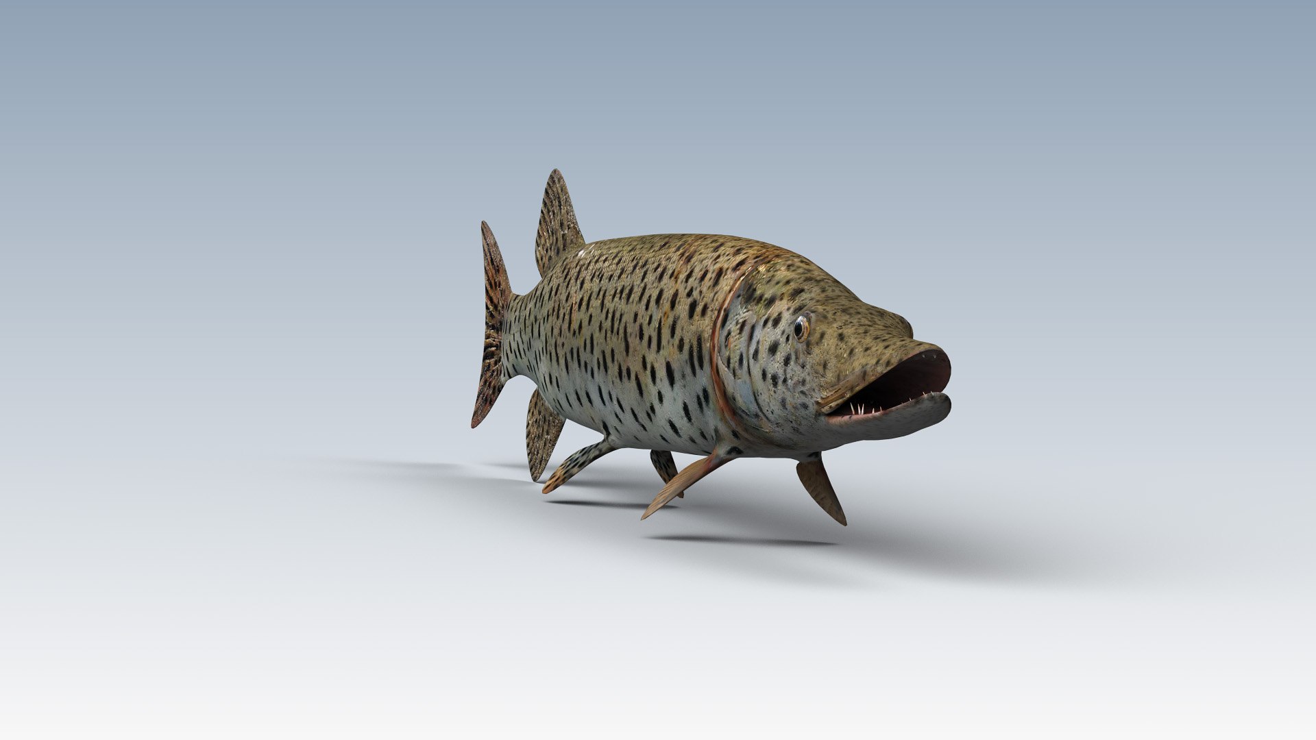 Fish Animal Model - TurboSquid 1561585