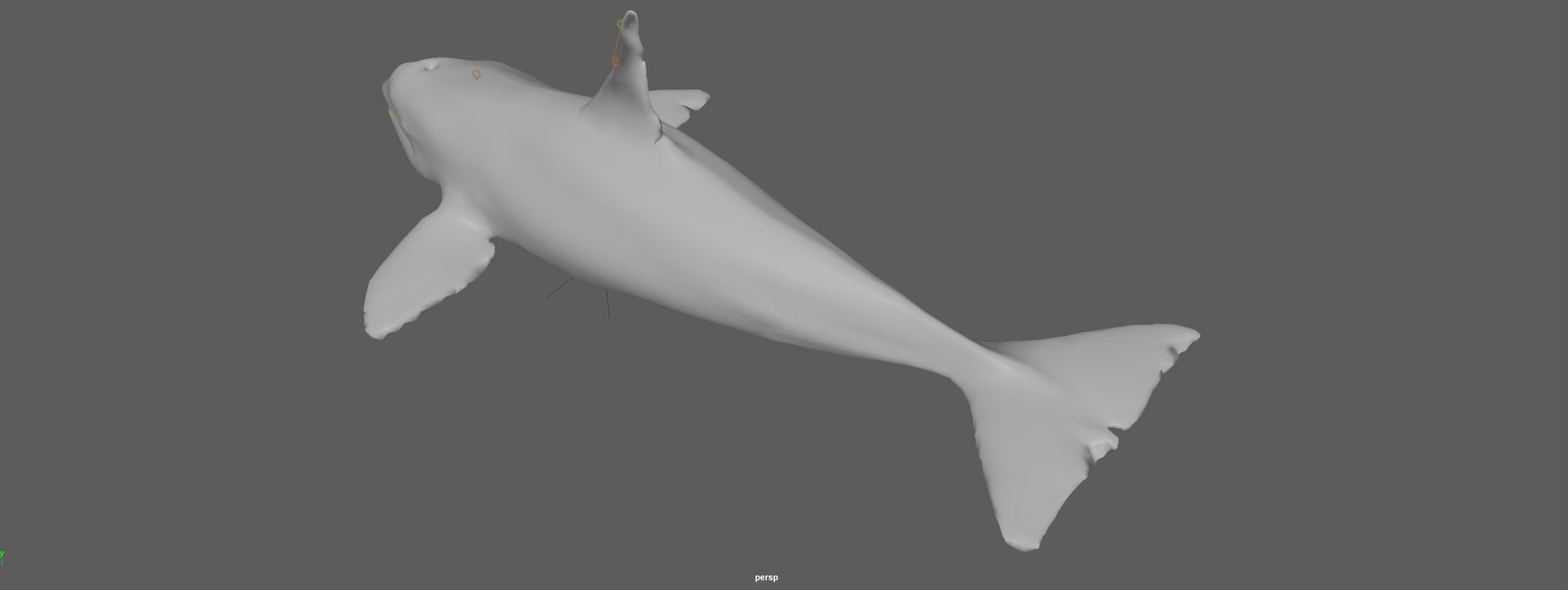 3D Killer Whale Rig Model - TurboSquid 2400000