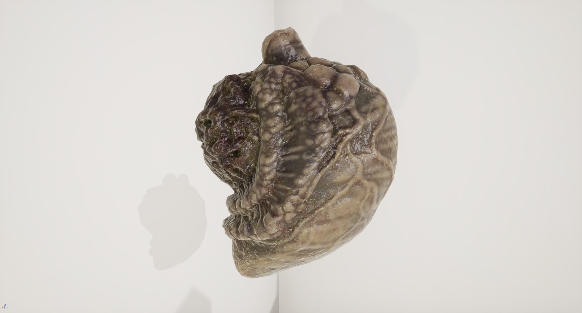 Alien Organ Model - TurboSquid 1712496