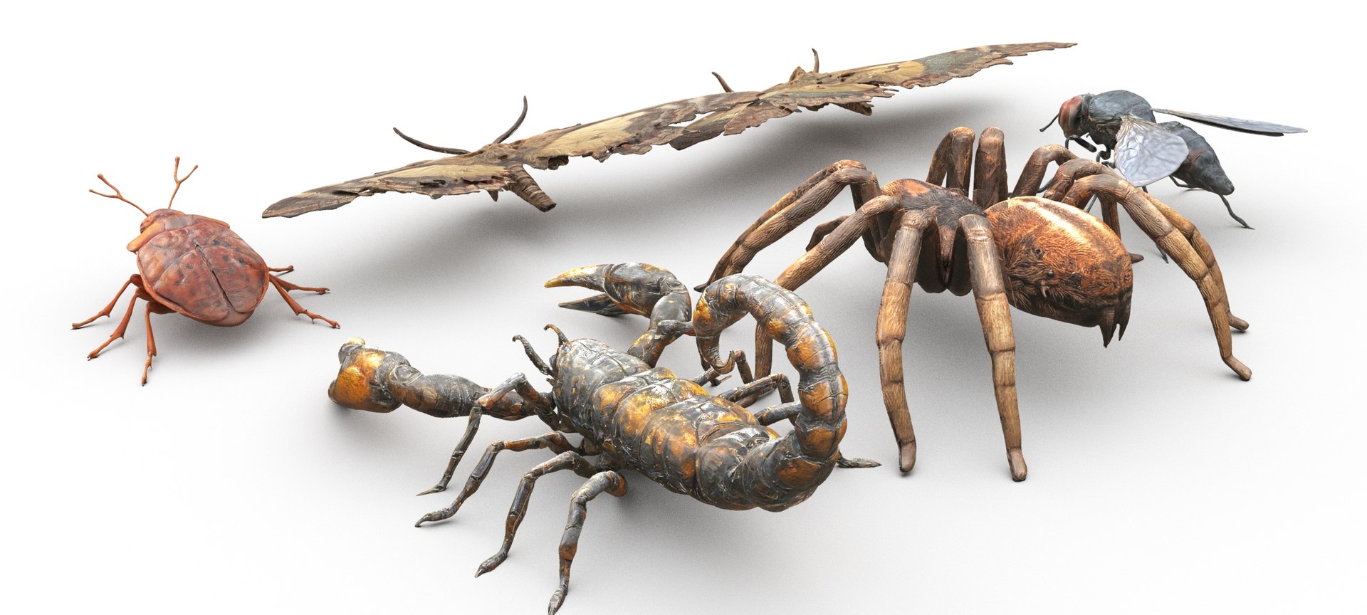 3D Insects Pack Model - TurboSquid 2318067