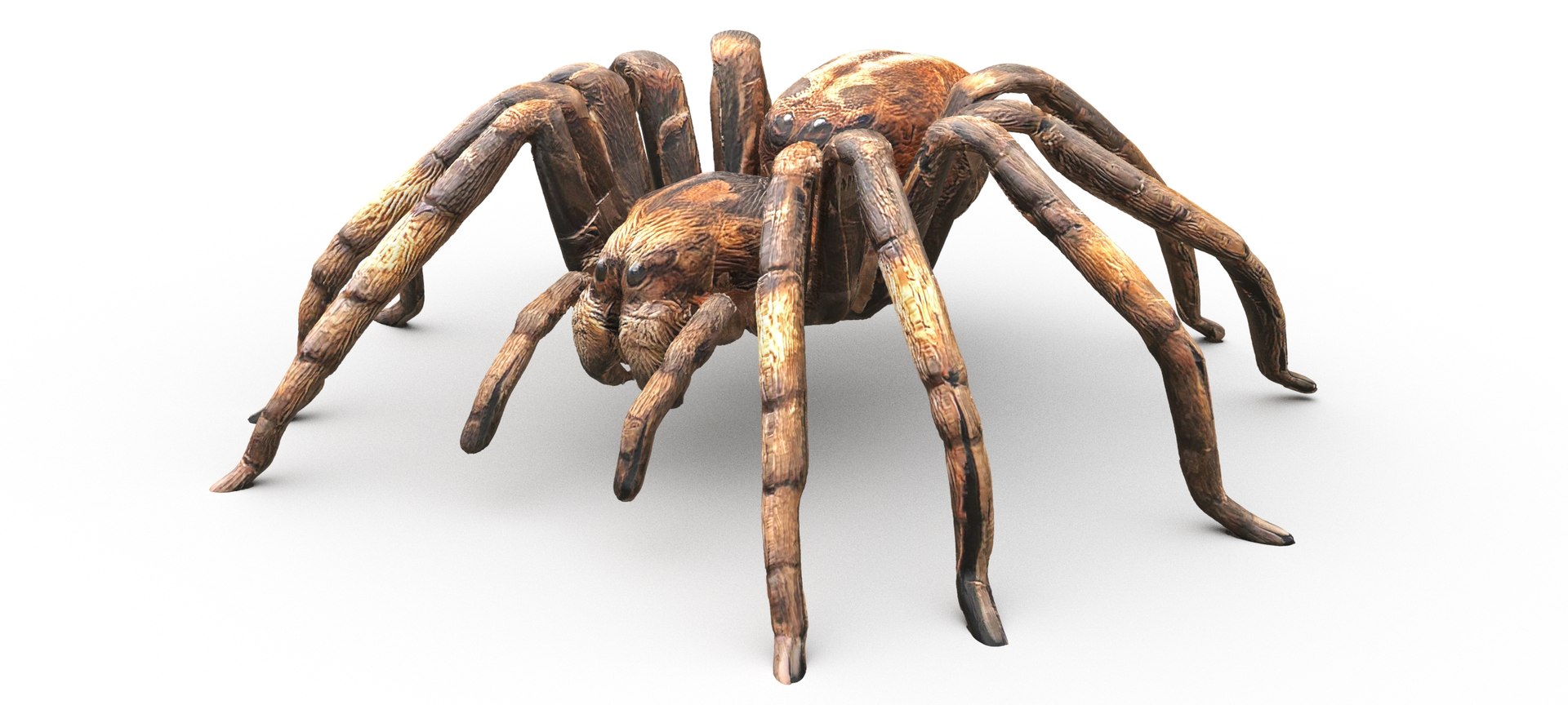 3D Insects Pack Model - TurboSquid 2318067