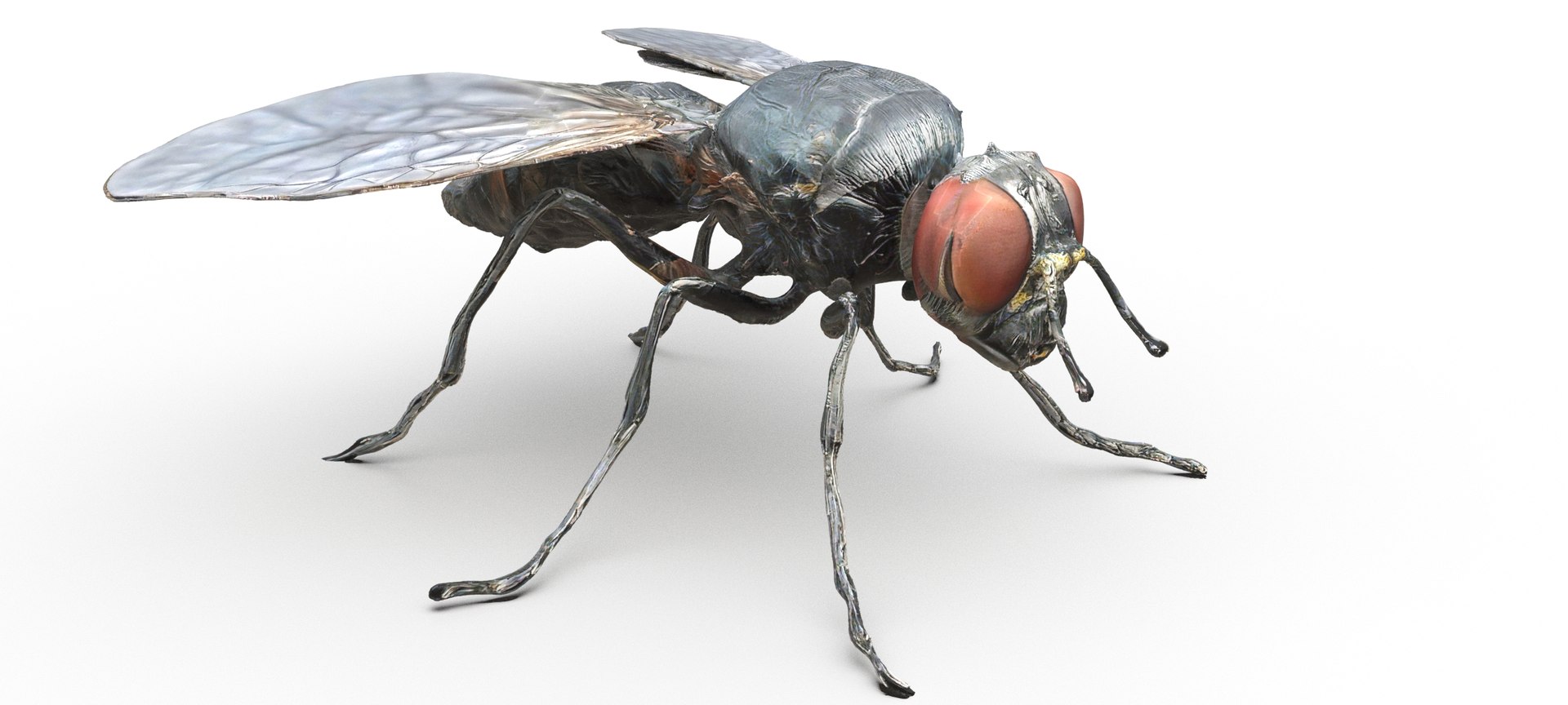 3D Insects Pack Model - TurboSquid 2318067