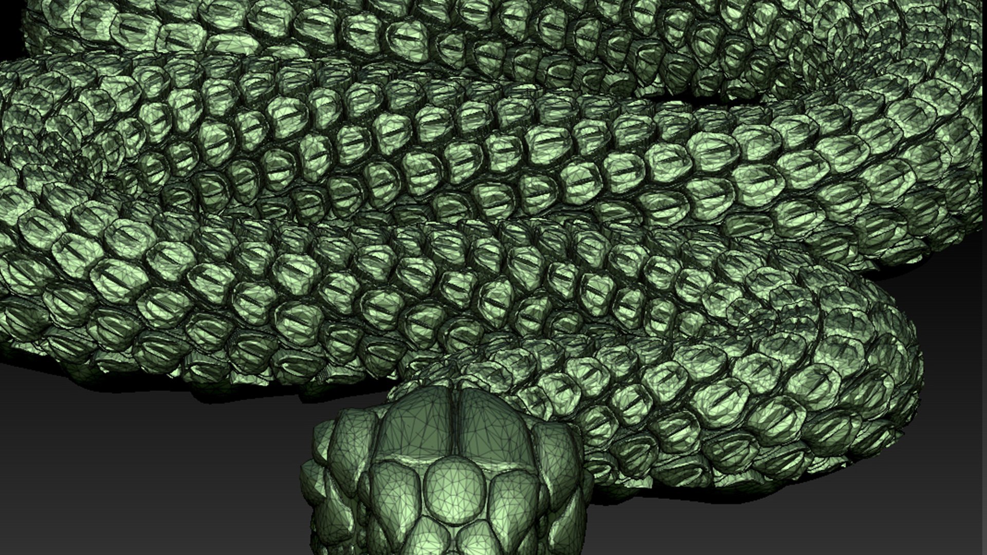 Snake 3D - TurboSquid 1901396