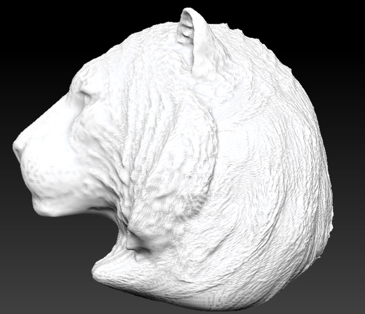Tiger Head 3d Model
