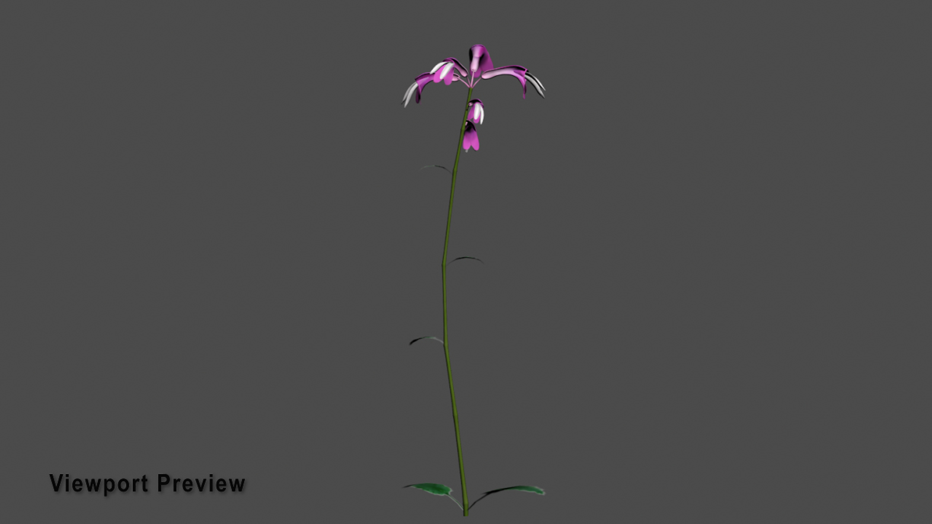 3D flowers open animation - TurboSquid 1563196