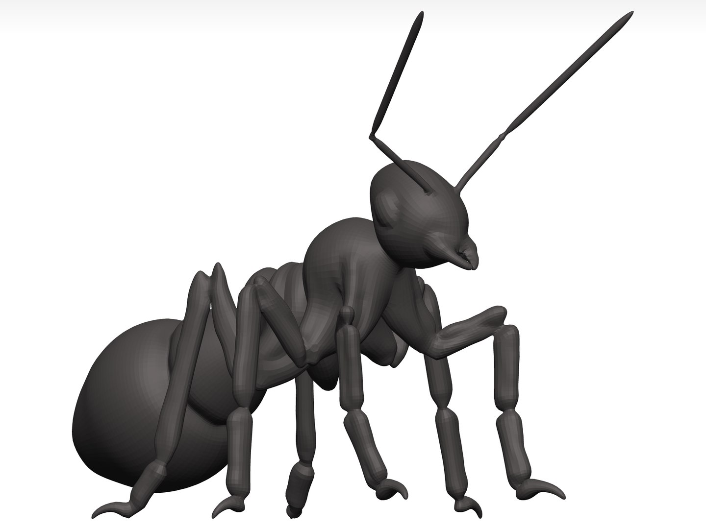 3D Ant Stl - TurboSquid 1773727