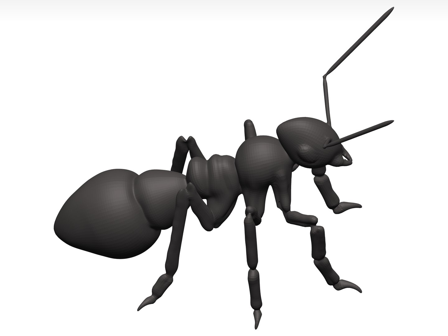 3D Ant Stl - TurboSquid 1773727