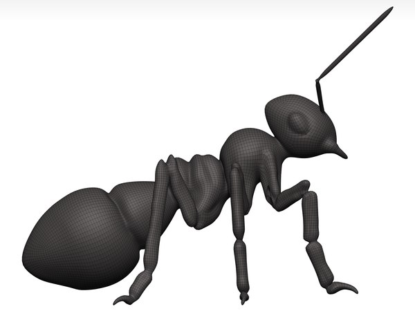 3D Ant Stl - TurboSquid 1773727