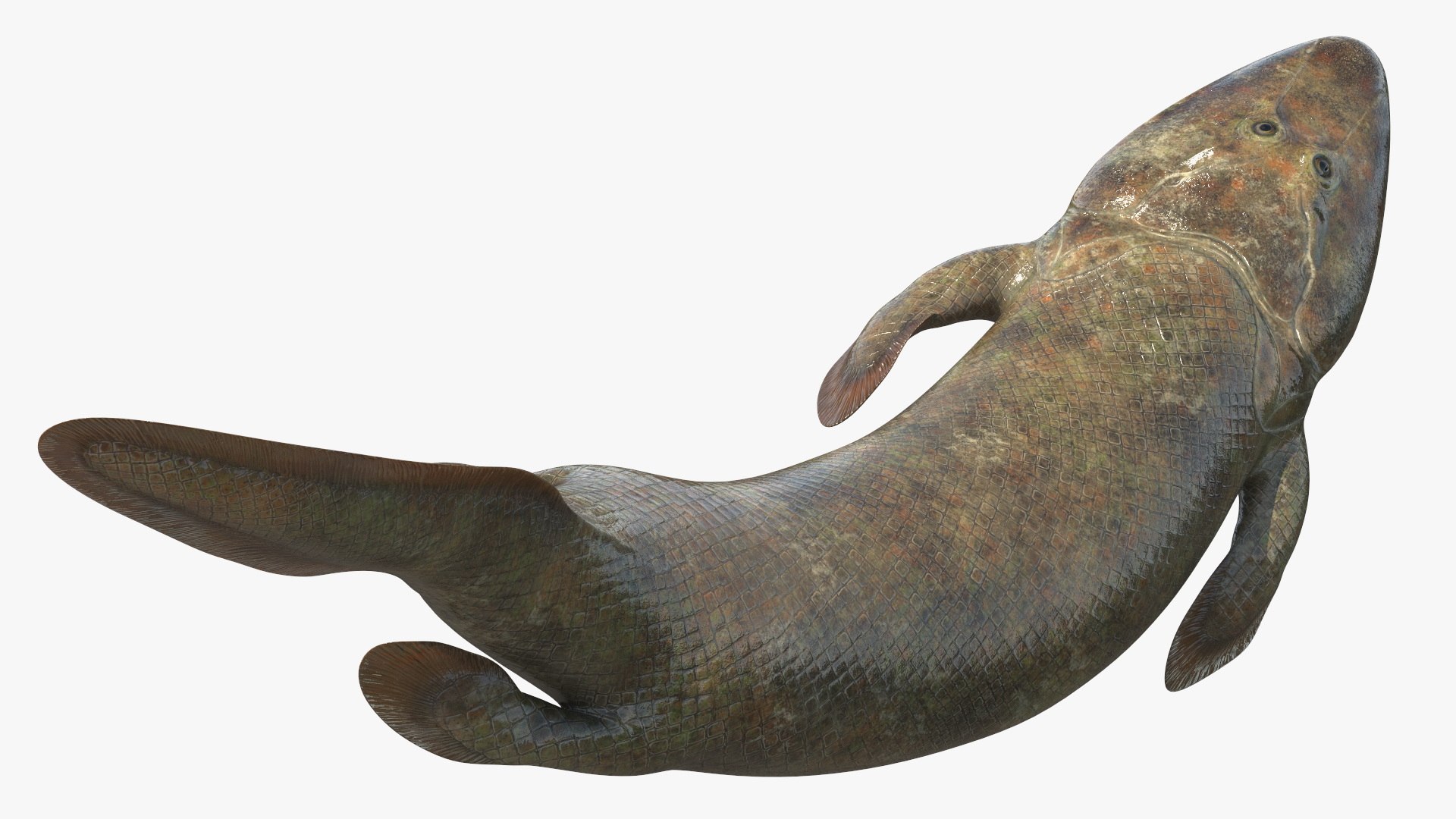 Tiktaalik Bony Fish Swimming Model - TurboSquid 2318852