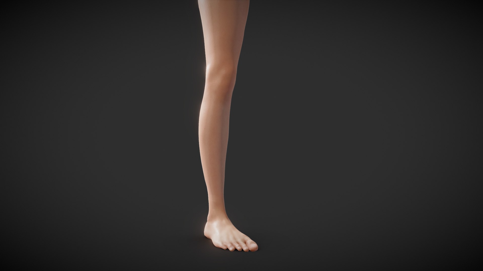 3D Model Fit Female Anatomy - Leg And Foot Base Mesh - TurboSquid 1853883