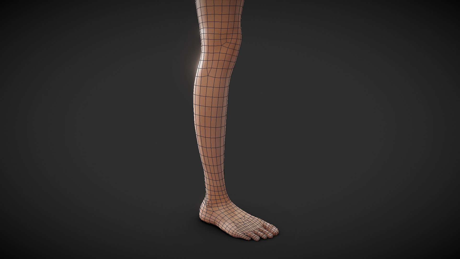 3D Model Fit Female Anatomy - Leg And Foot Base Mesh - TurboSquid 1853883