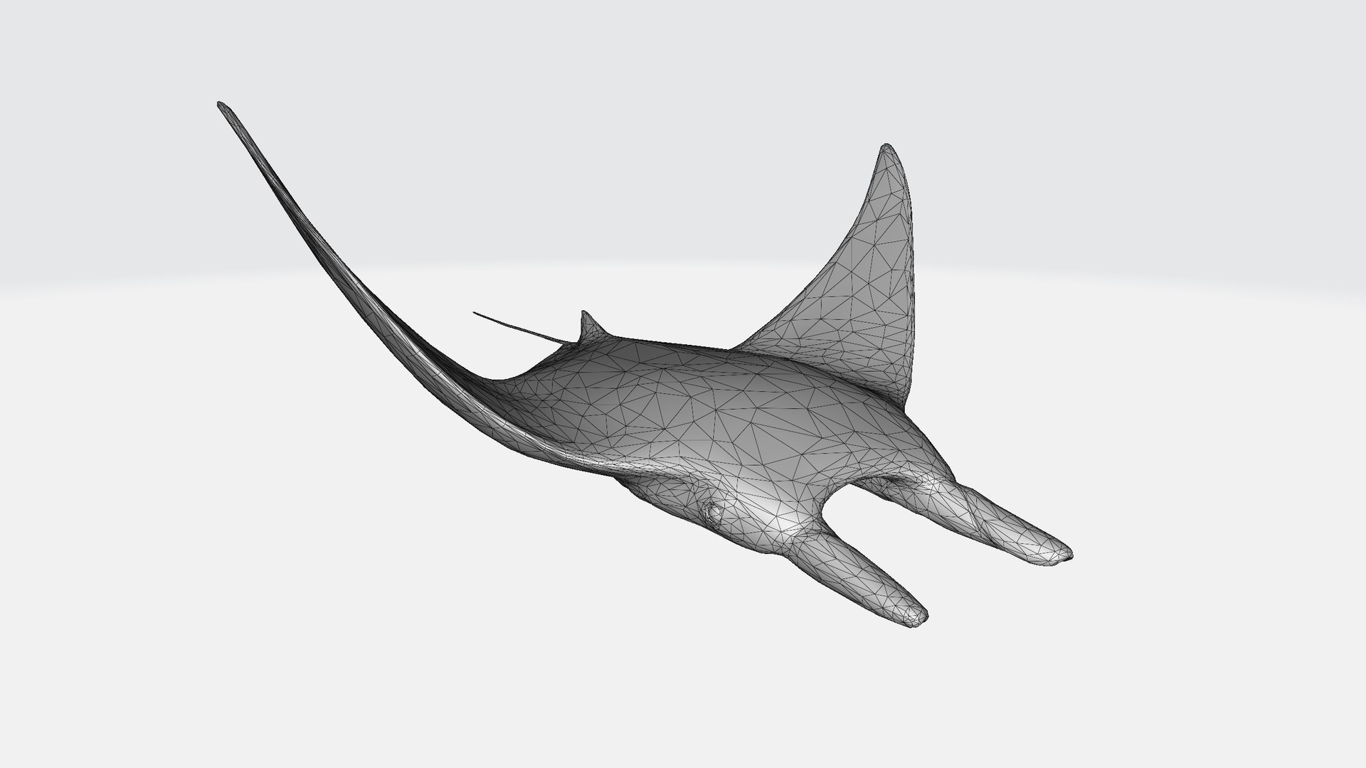 Mobula Rays Model - TurboSquid 2412951