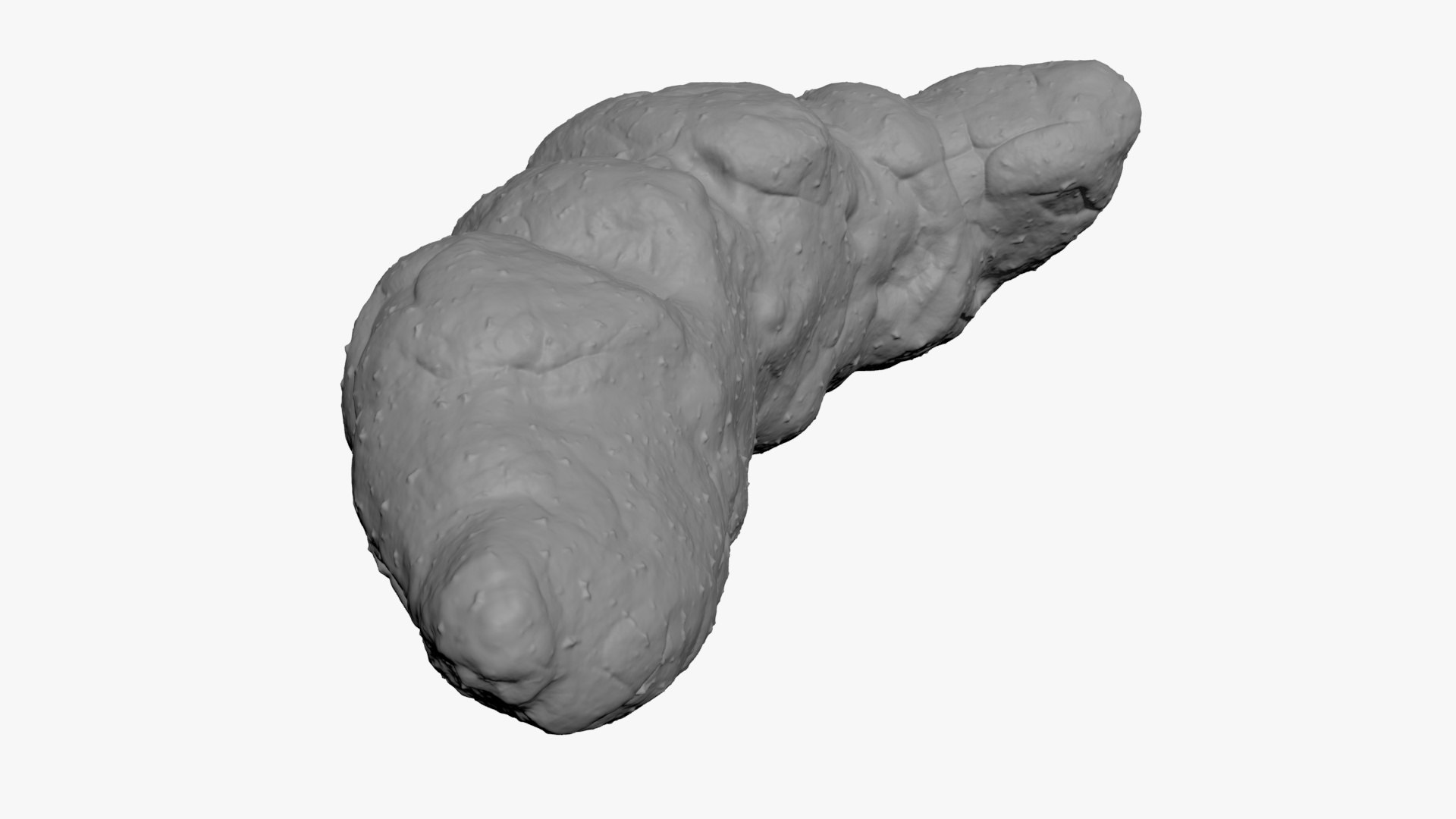 Poop 2 For 3D Print 3D Model - TurboSquid 2343484