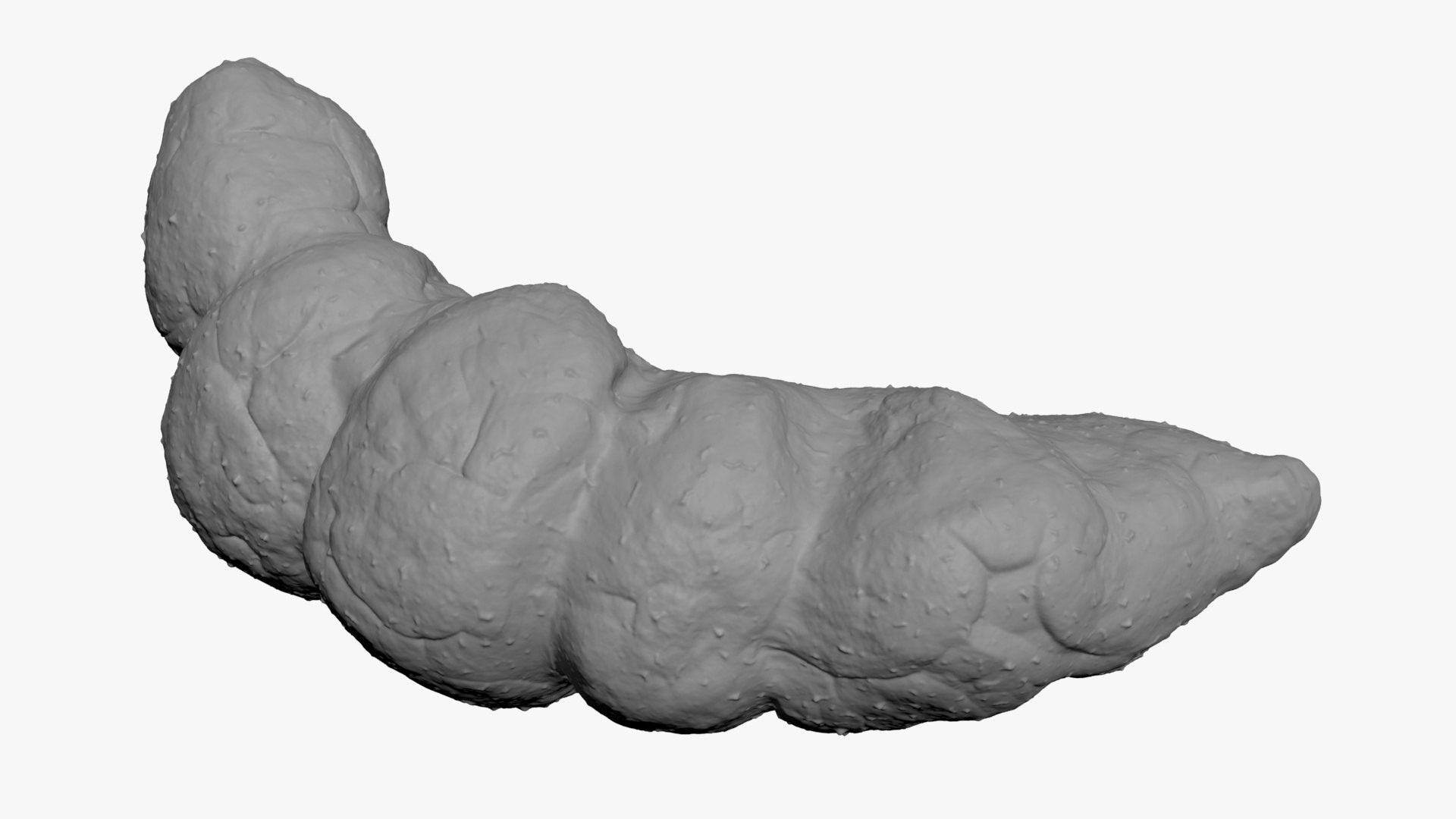 Poop 2 For 3D Print 3D Model - TurboSquid 2343484