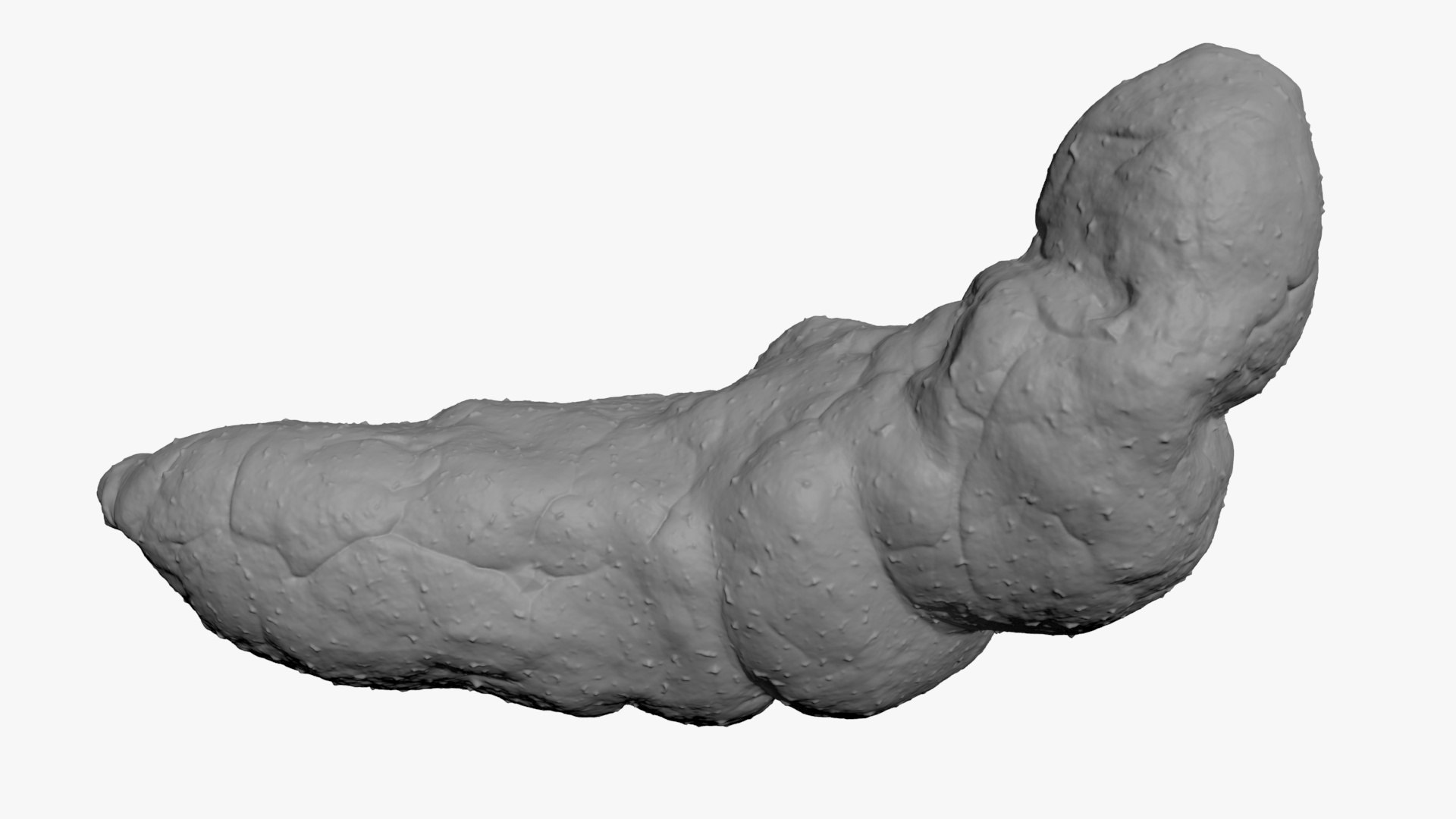 Poop 2 For 3D Print 3D Model - TurboSquid 2343484