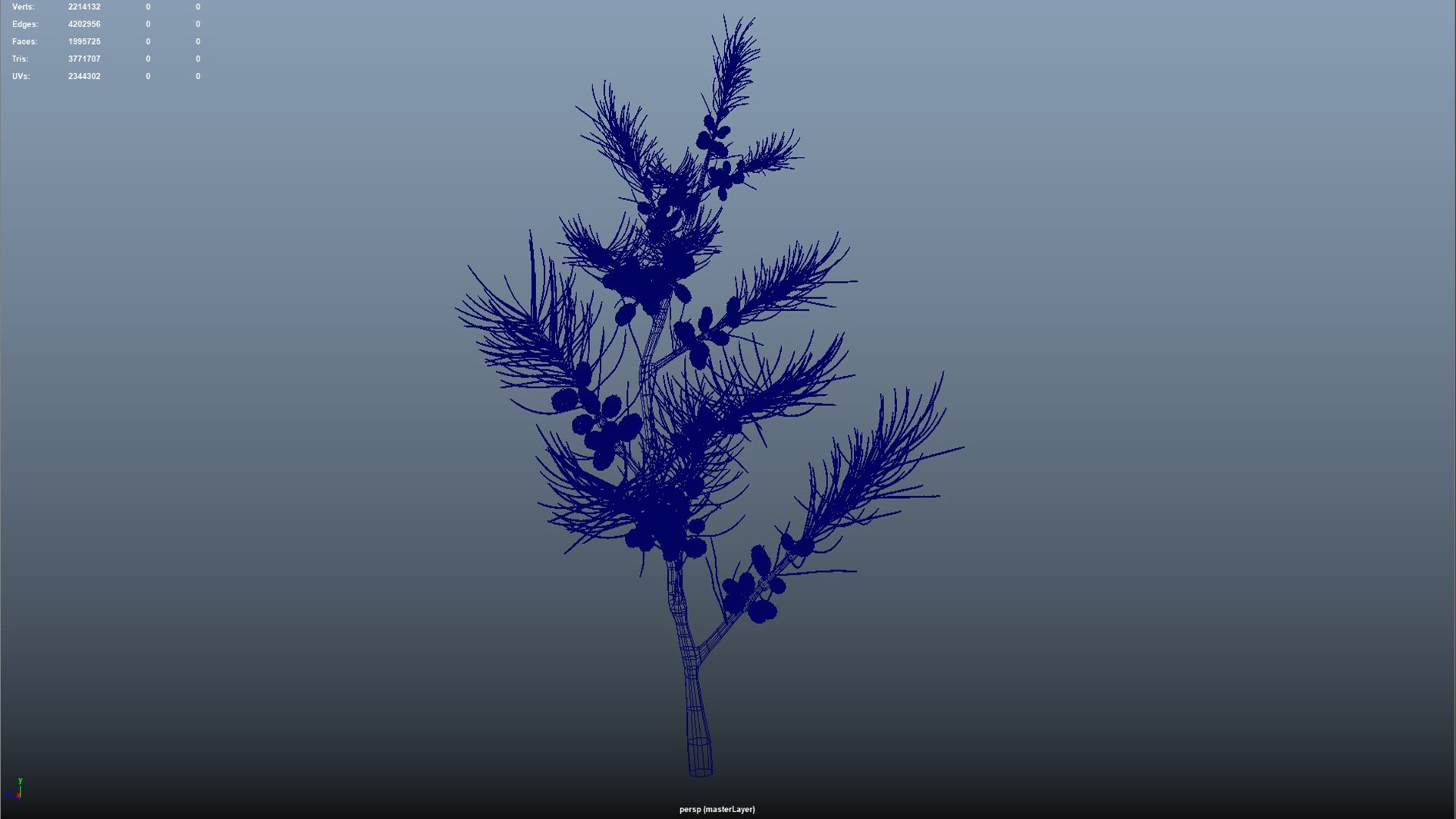 Casuarina Tree 3D Model - TurboSquid 2207007