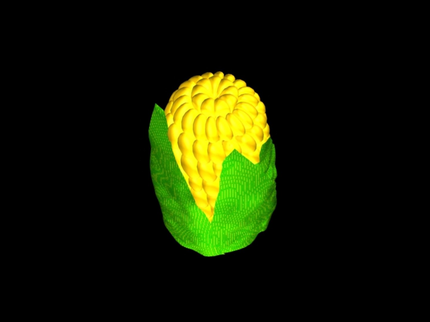 3d Corn Cob