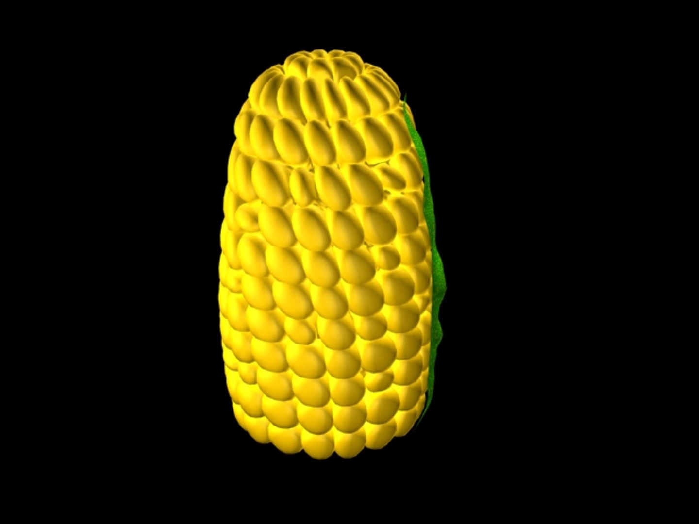 3d Corn Cob