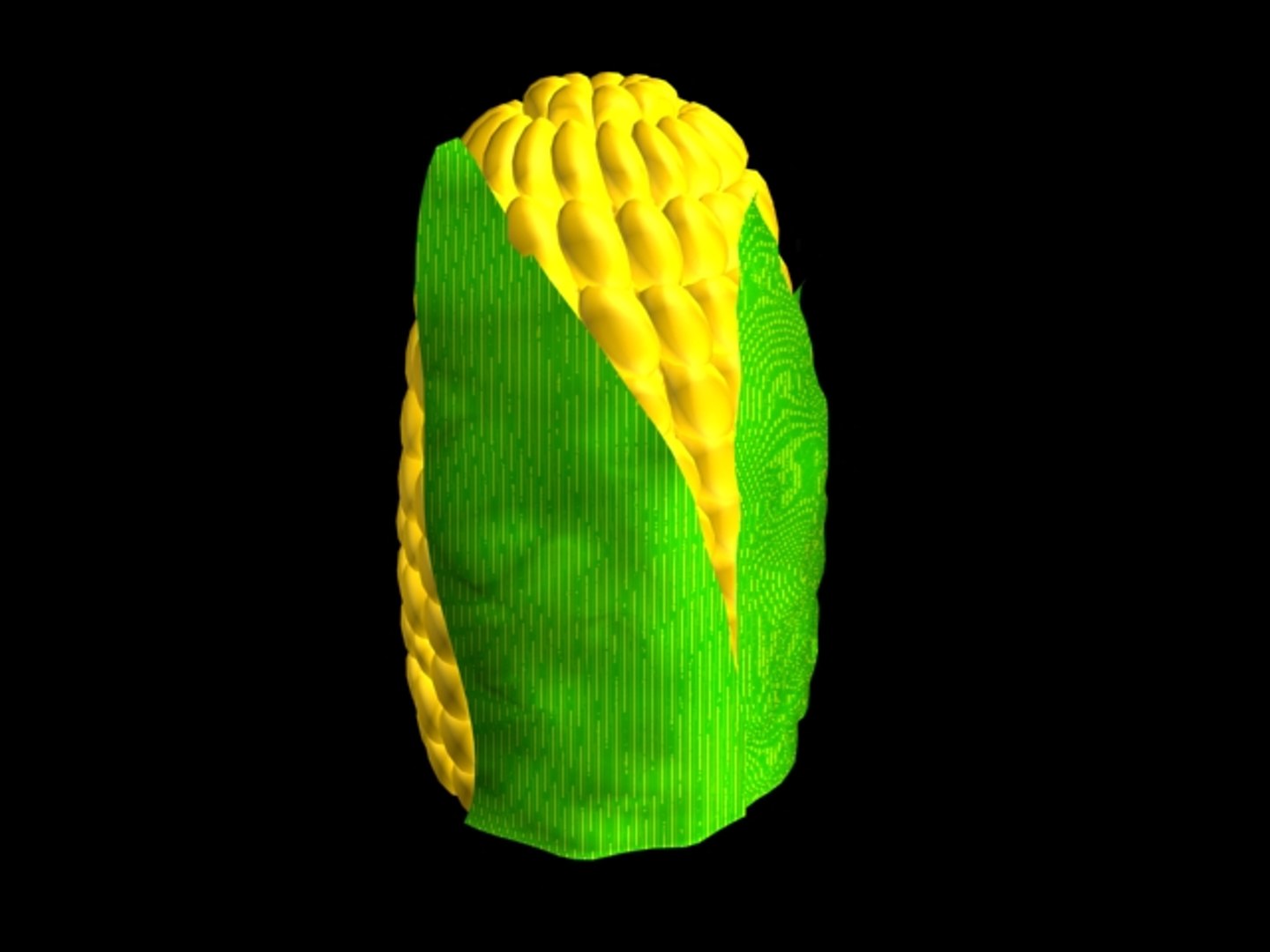 3d Corn Cob