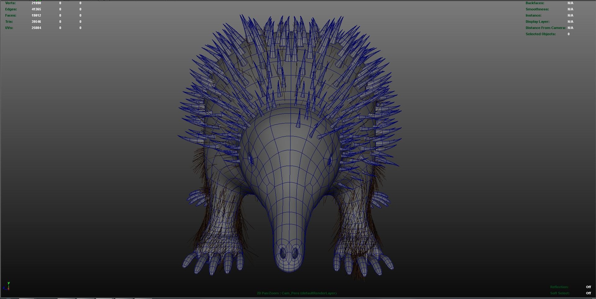 3d model australian spiny anteater