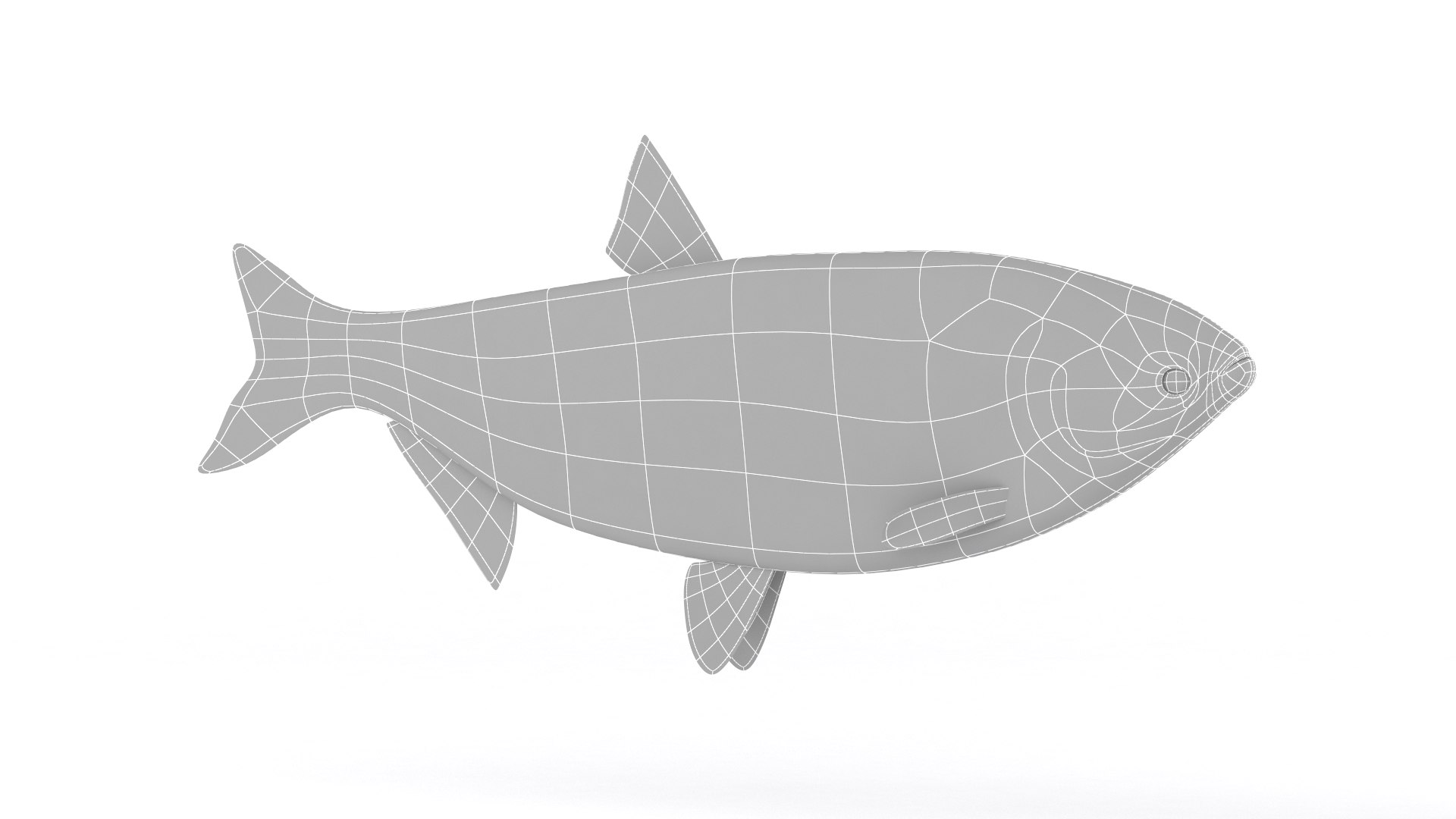 3D Silver Carp Fish - TurboSquid 1762038