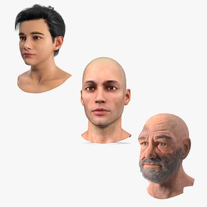 3D Head Models - Browse & Download Formats - TurboSquid