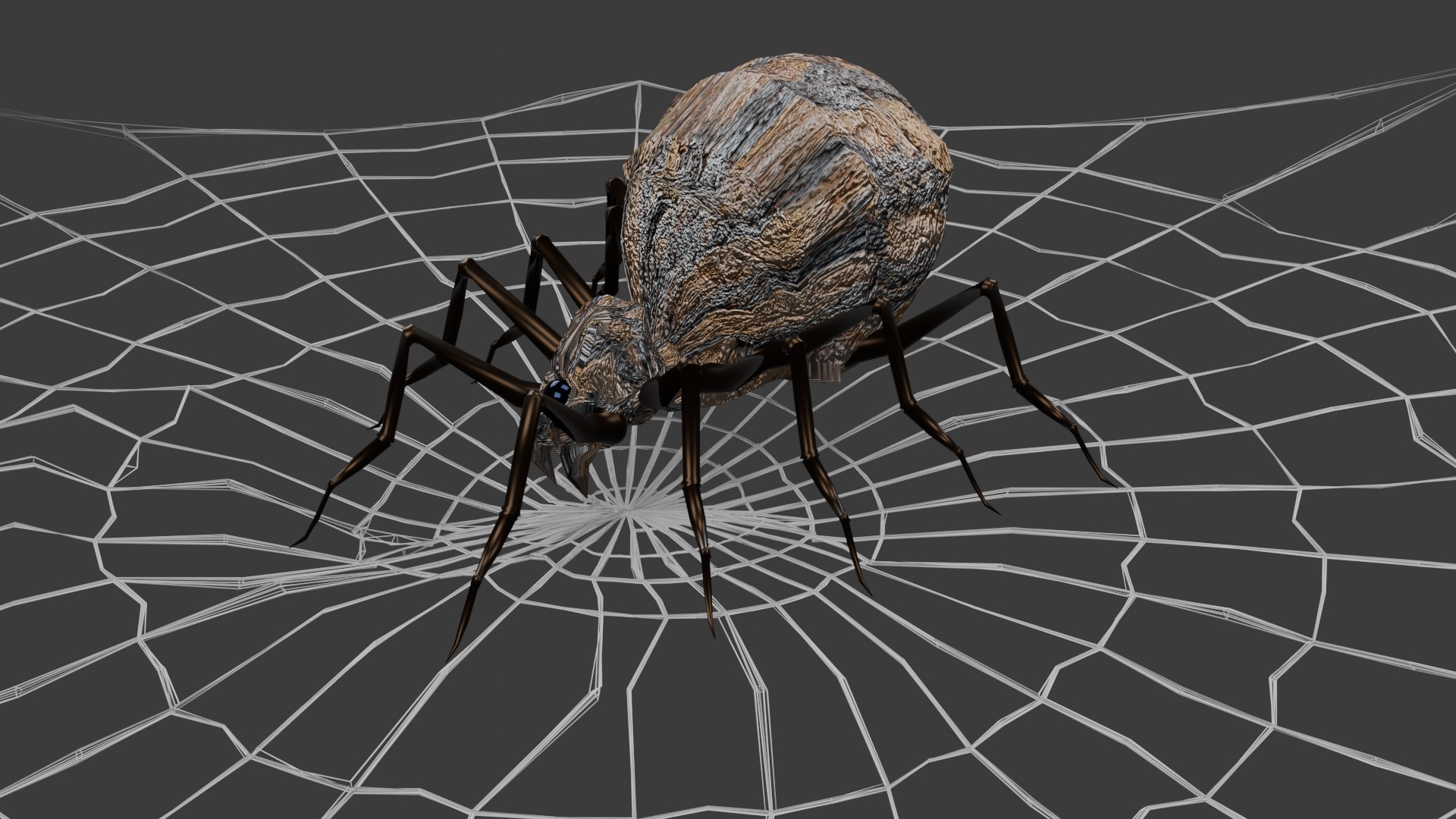 SPIDER 3D - TurboSquid 2414020