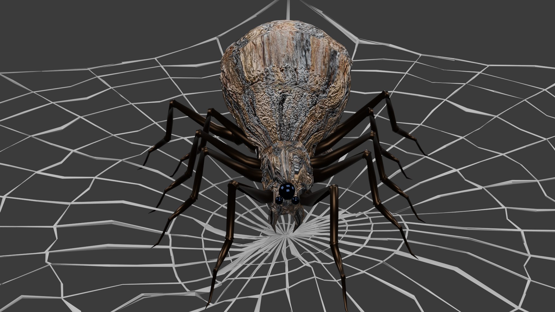 SPIDER 3D - TurboSquid 2414020