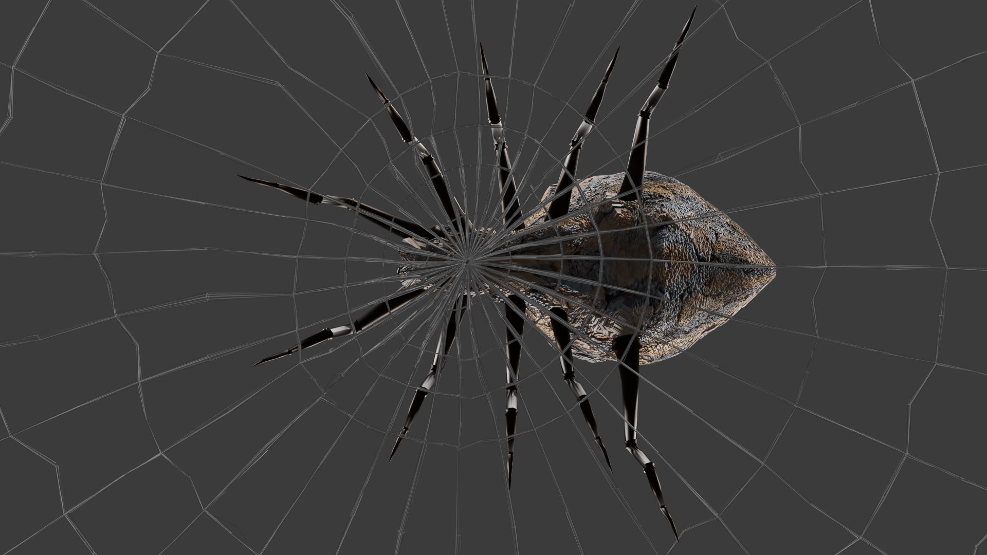 SPIDER 3D - TurboSquid 2414020