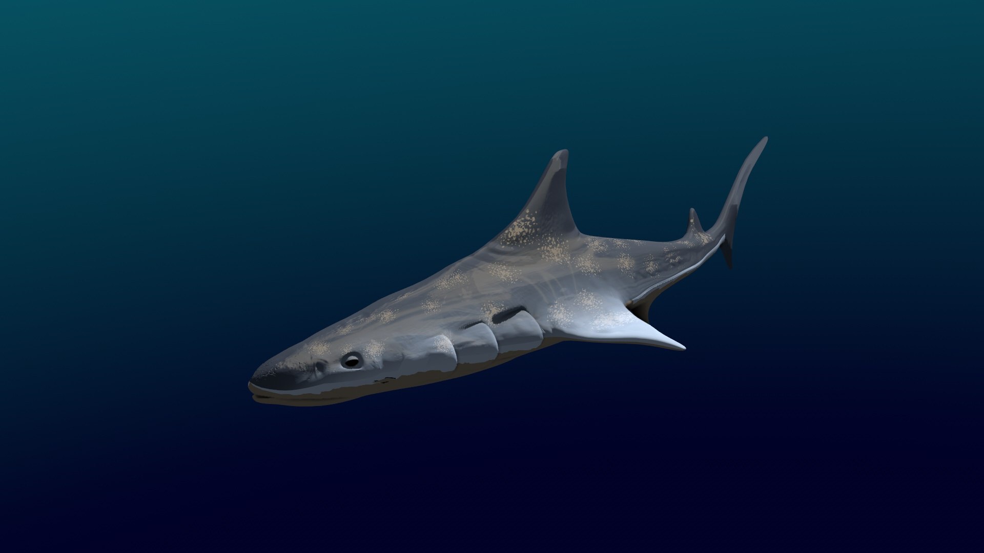 3D Model Shark Rigged - TurboSquid 1903829