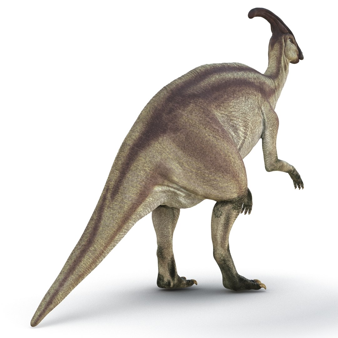 3d Parasaurolophus Pose 4