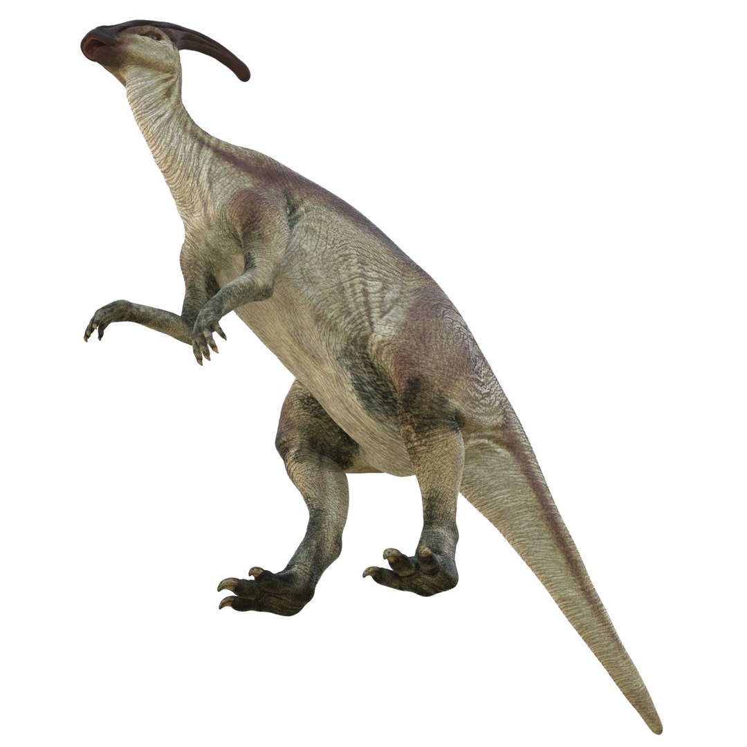 3d Parasaurolophus Pose 4