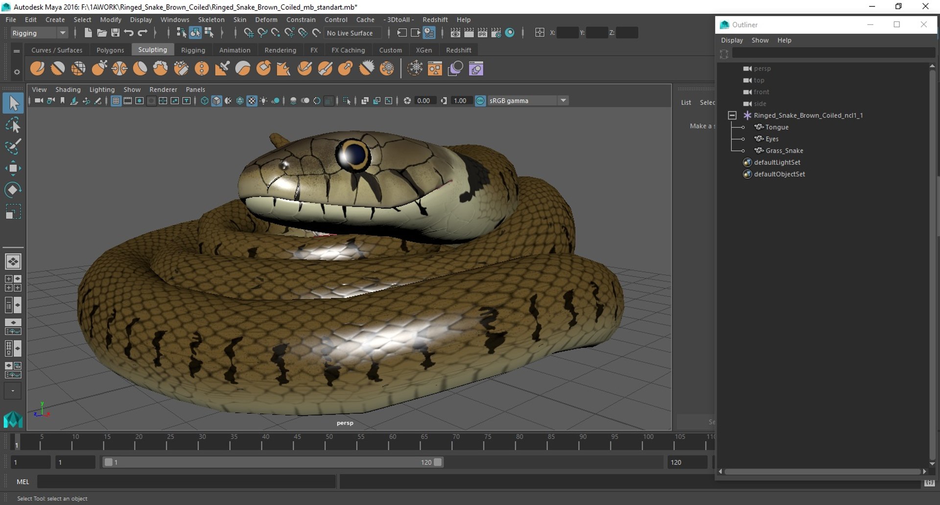 3D Ringed Snake Brown Coiled For 3D Print - TurboSquid 2281814