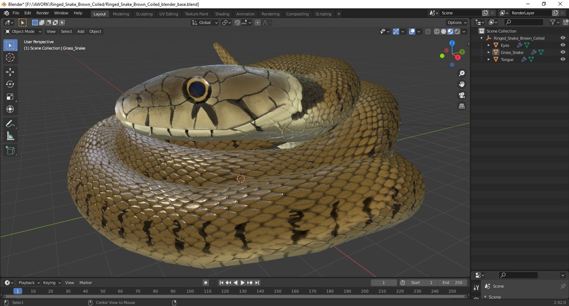 3D Ringed Snake Brown Coiled For 3D Print - TurboSquid 2281814