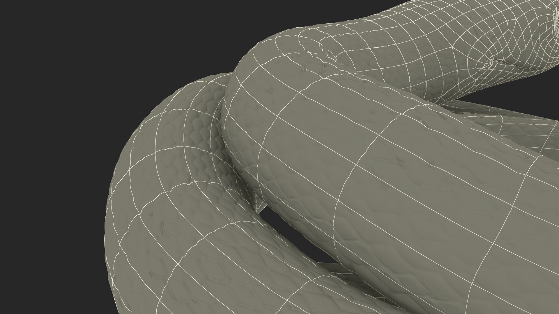 3D Ringed Snake Brown Coiled For 3D Print - TurboSquid 2281814