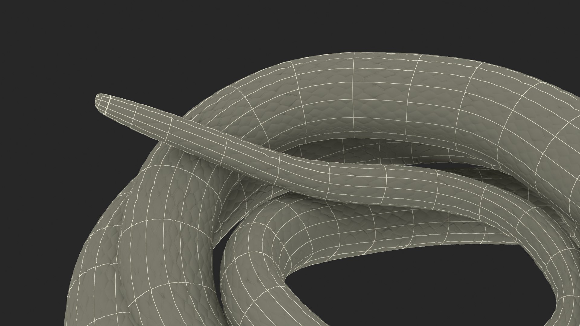 3D Ringed Snake Brown Coiled For 3D Print - TurboSquid 2281814