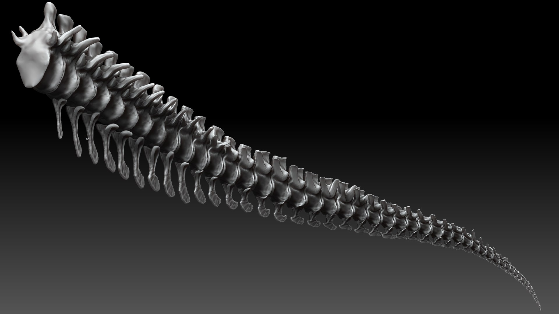 Tarbosaurus Bataar Tail Set 3D - TurboSquid 1902237