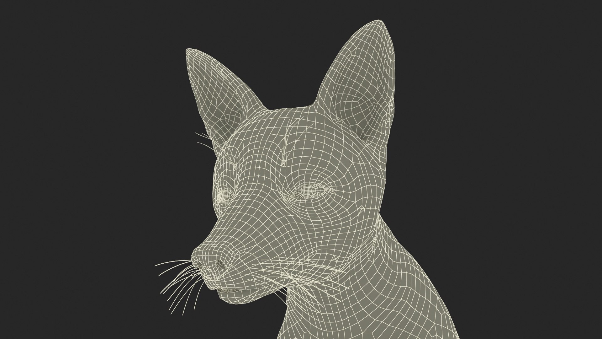 3D Model European Fox Sitting Pose Fur - TurboSquid 2182885