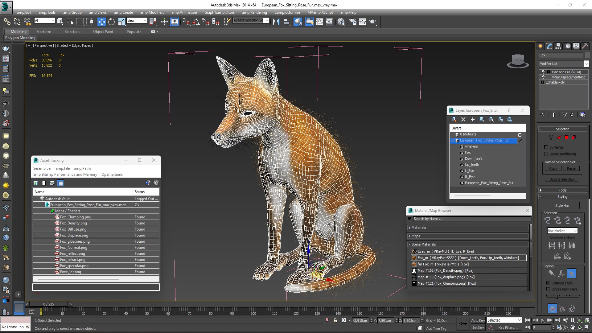 3D Model European Fox Sitting Pose Fur - TurboSquid 2182885