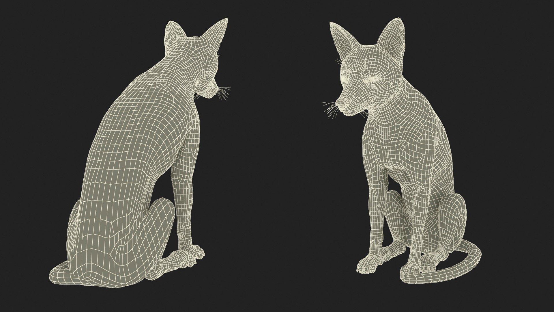 3D Model European Fox Sitting Pose Fur - TurboSquid 2182885