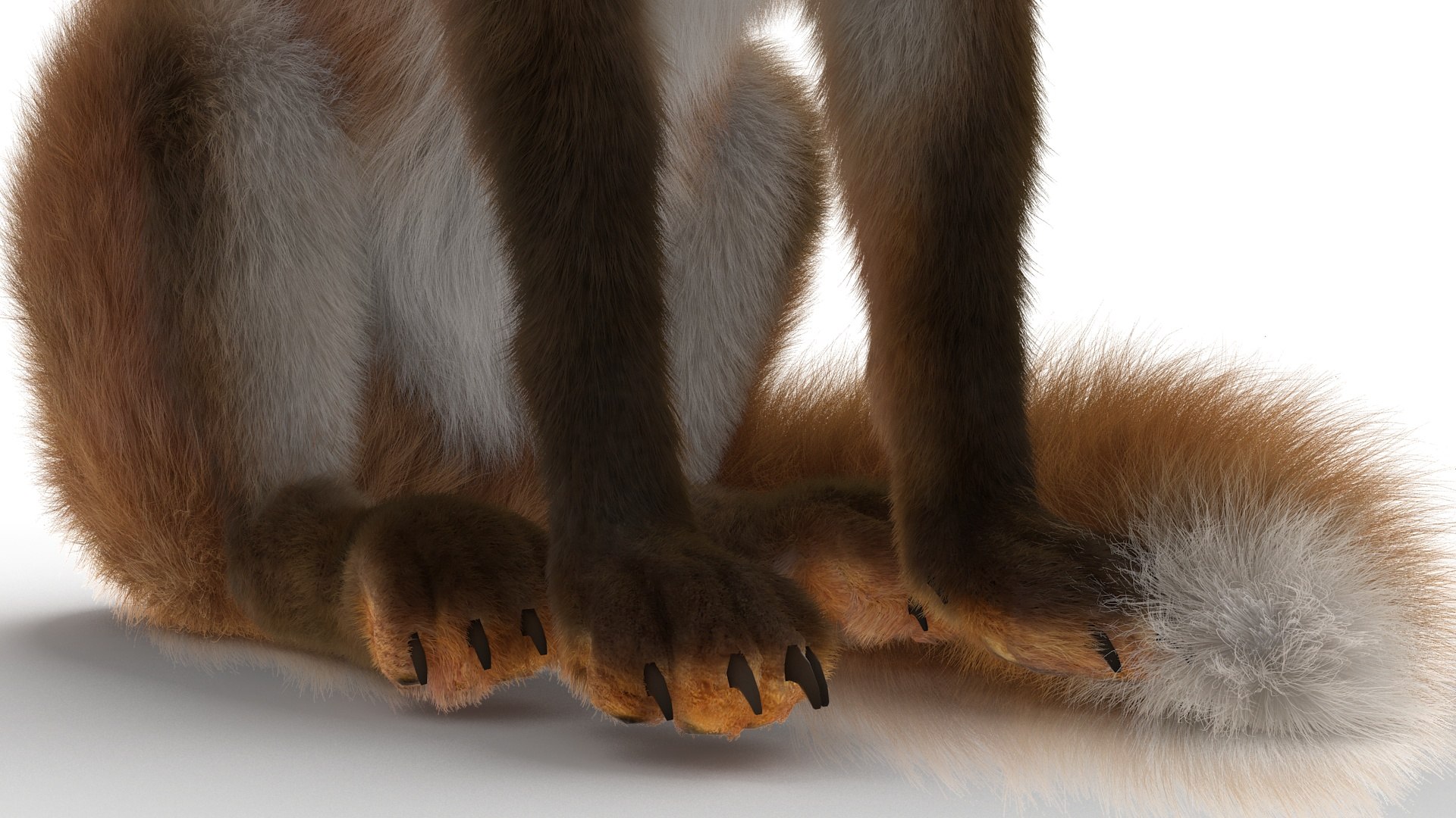 3D Model European Fox Sitting Pose Fur - TurboSquid 2182885