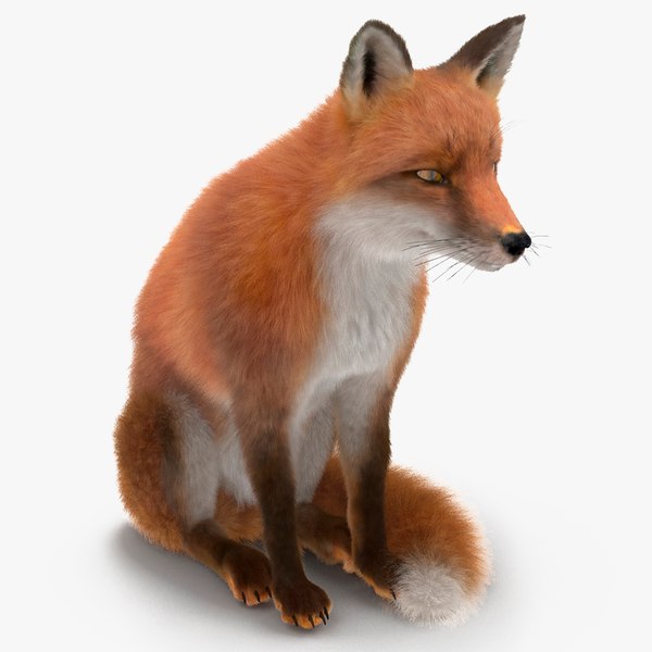 Fox 3D Models for Download | TurboSquid