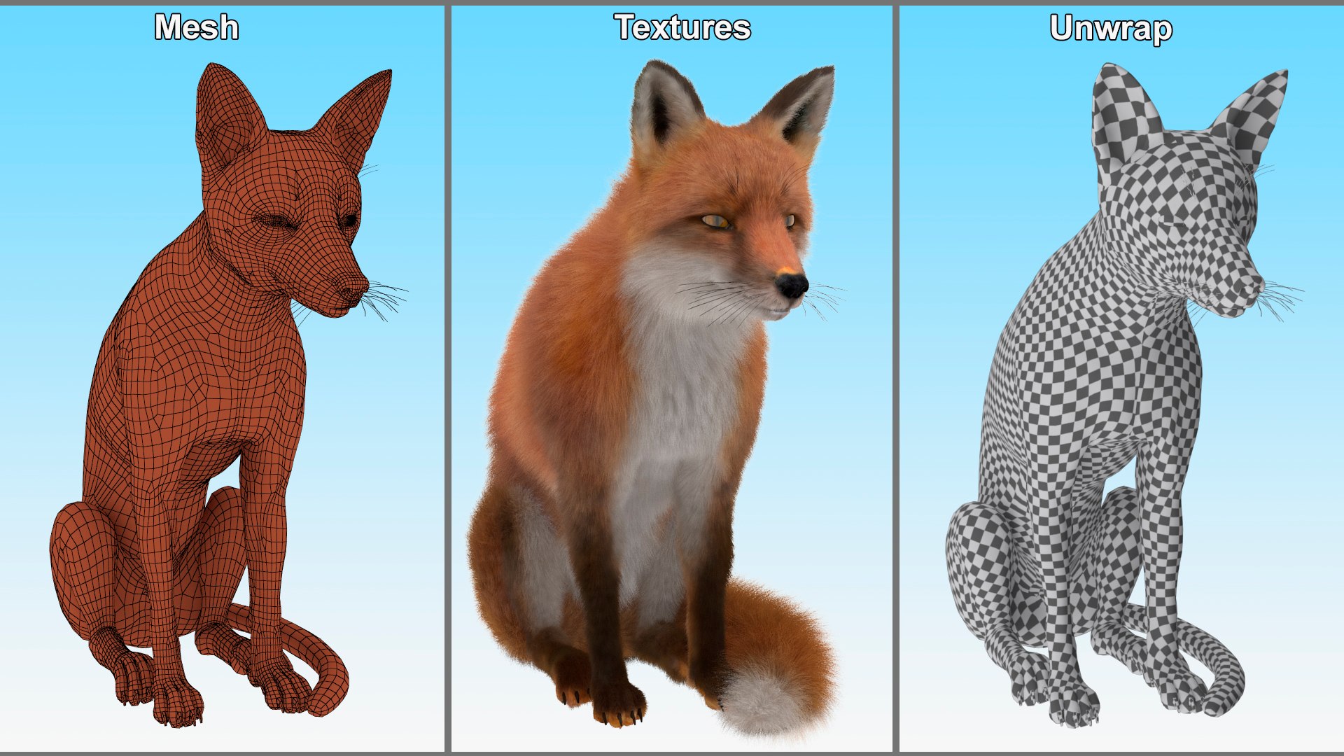 3D Model European Fox Sitting Pose Fur - TurboSquid 2182885