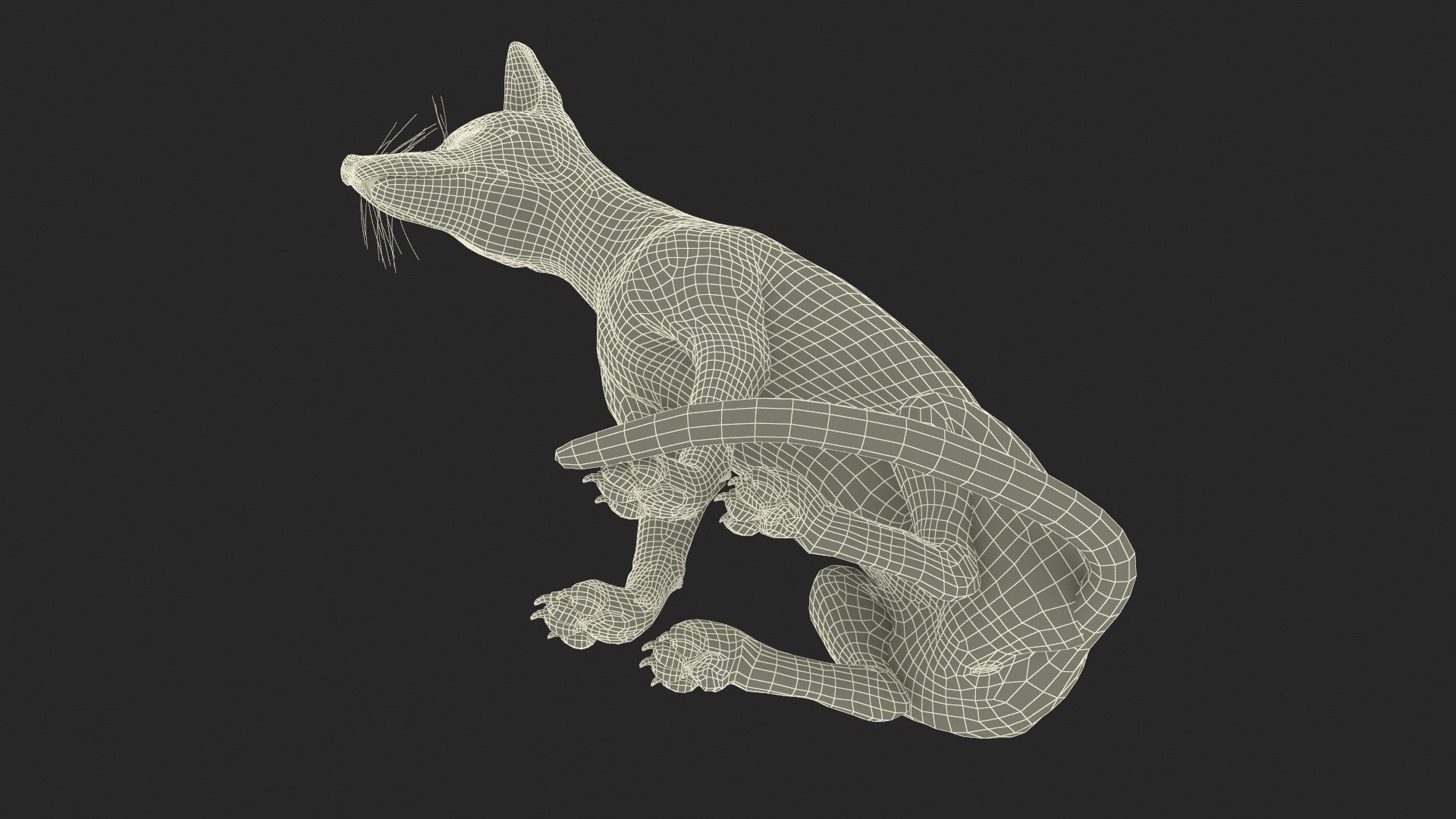 3D Model European Fox Sitting Pose Fur - TurboSquid 2182885