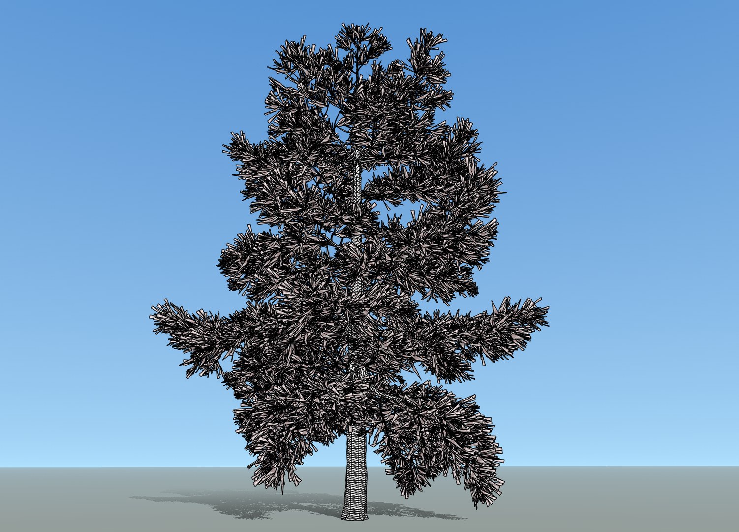 Conifer Tree 005 3D Model - TurboSquid 1751908
